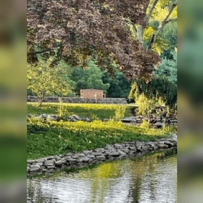 Retreat into Stillness - Gracious Space Coaching