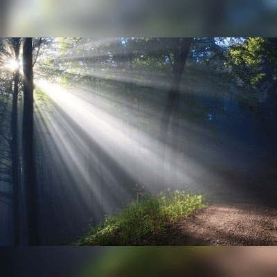 Retreat into Stillness - Gracious Space Coaching