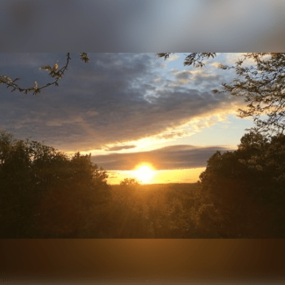 Retreat into Stillness - Gracious Space Coaching